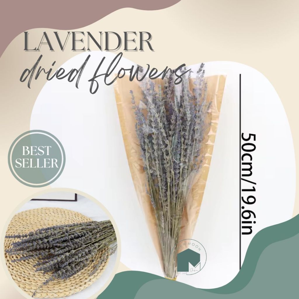 Jual Lavender Lilac Dried Flower 1 Pack Plants Rustic Vintage Preserved ...