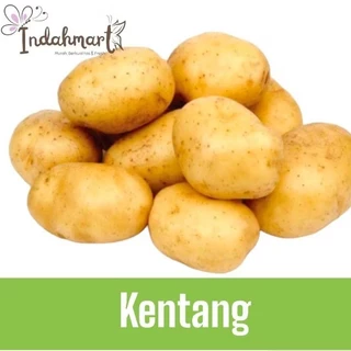 Jual Kentang 1 Kg Terlengkap & Harga Terbaru Agustus 2024 | Shopee ...