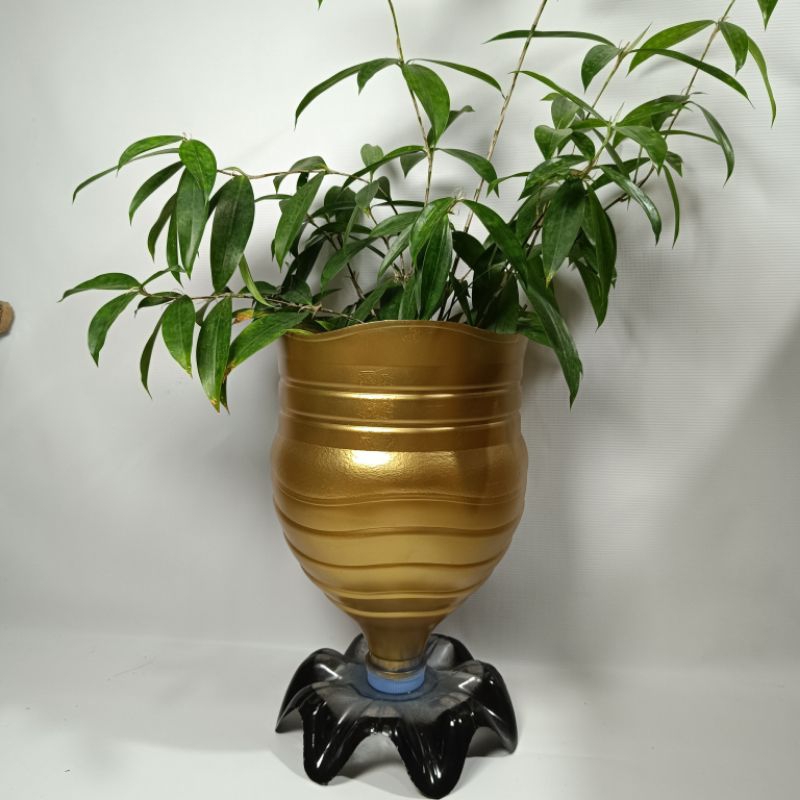 Jual Pot Tanaman dari Galon Bekas, Pot Bunga dari Galon Bekas | Shopee ...