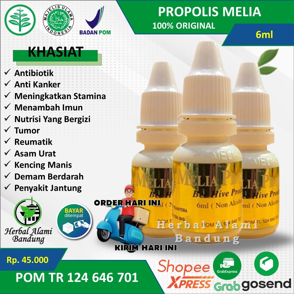 Jual Propolis Melia Original 100% Asli Obat Segala Penyakit Terbukti ...
