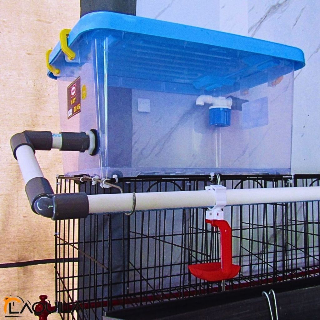 Jual Box Penampungan Air Regulator Kandang Ayam Puyuh | Shopee Indonesia