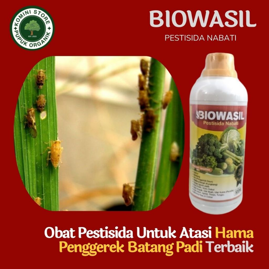 Jual Cod murah pestisida hama penggerek batang padi paling bagus - BIOWASIL 500 ML Pupuk untuk ...