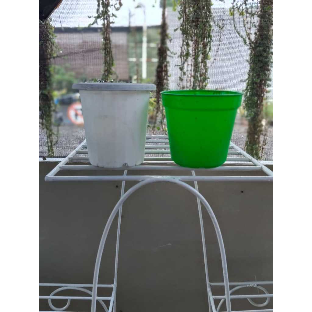Jual Pot Plastik Tanaman Ukuran 15 cm | Shopee Indonesia