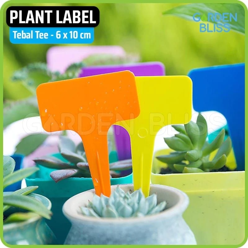 Jual 50 Pcs Thick Plant Label Name Tag - Label Penanda Nama Tanaman Model Tee 6x10 cm T | Shopee ...