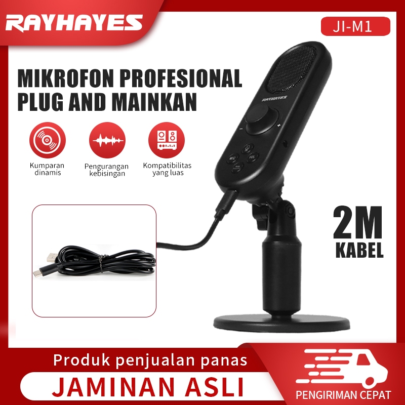 Jual RAYHAYES Mikrofon RGB Condenser Microphone YouTuber PC Laptop ...