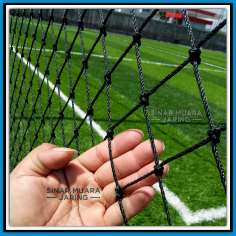 Jual Jaring Dinding D60 3mx4,6m Free Tali Tambang Sekeliling | Shopee ...