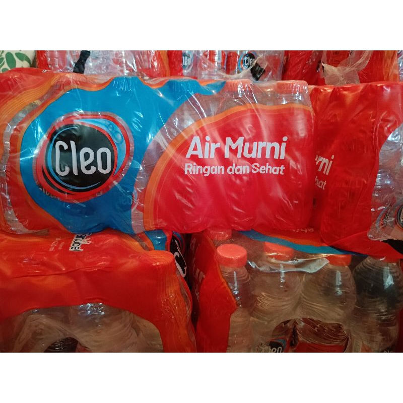 Jual CLEO BOTOL MINI SMART WATER 220 ML ISI 24 PCS | Shopee Indonesia