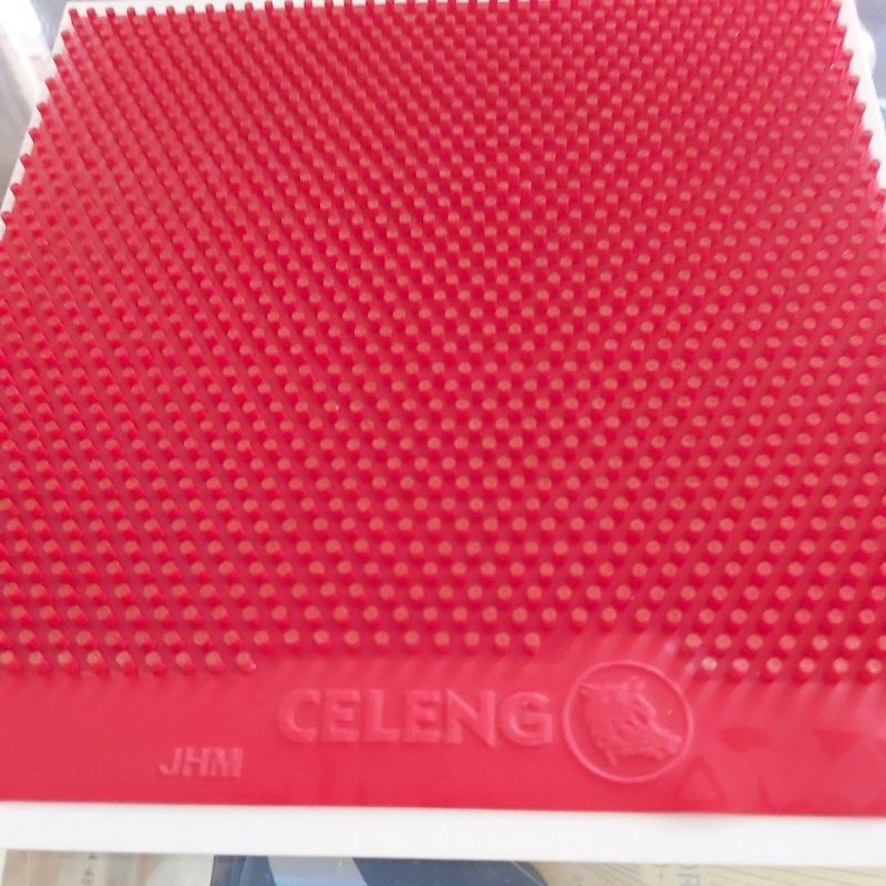 Jual karet tenis meja bintik panjang jahanam celeng, borneo super drop ...
