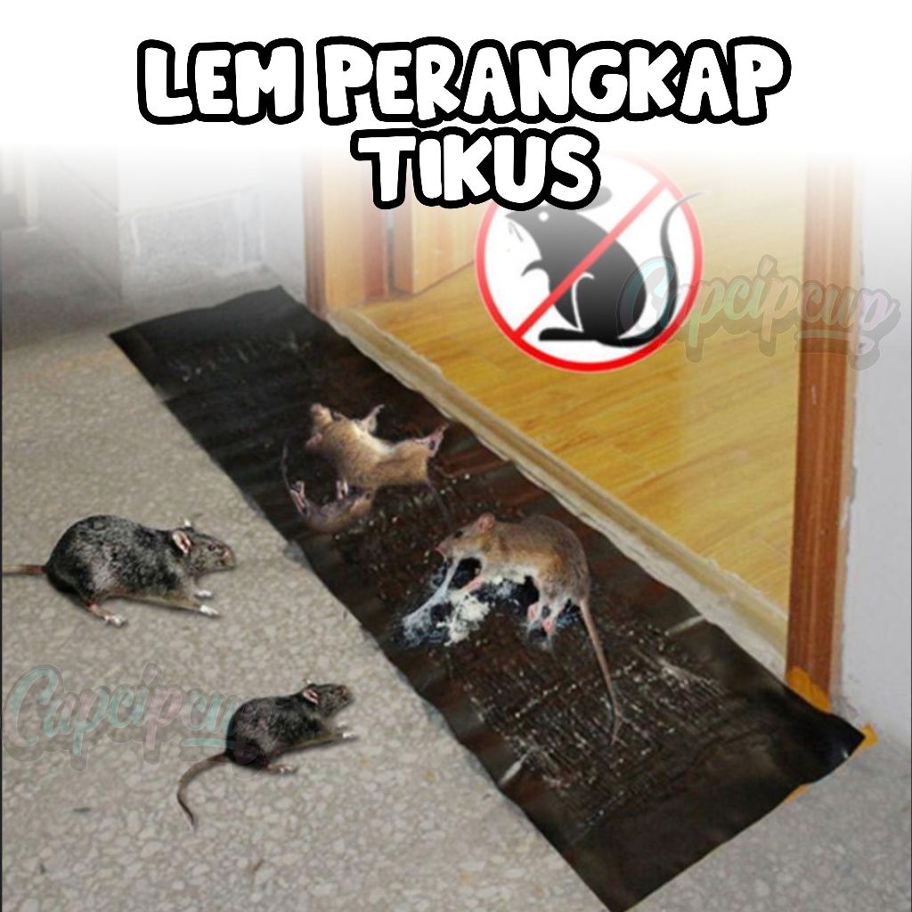 Jual Lem Perangkap Tikus Lem Jebakan Tikus Pembasmi Tikus Tempelan ...