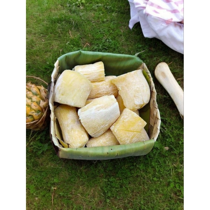 Jual tape singkong kuning tape mentega tape manis dan enak | Shopee ...