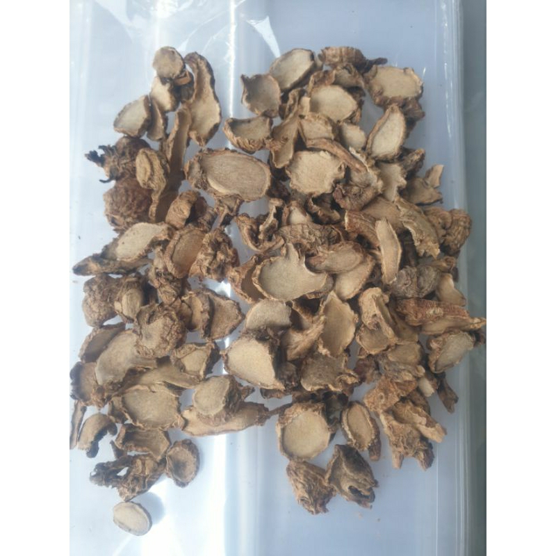 Jual Temu Kunci Kering 1kg | Shopee Indonesia