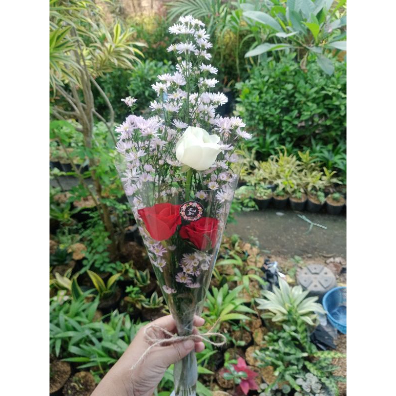 Jual fresh flower bunga asli bunga segar buket asli | Shopee Indonesia