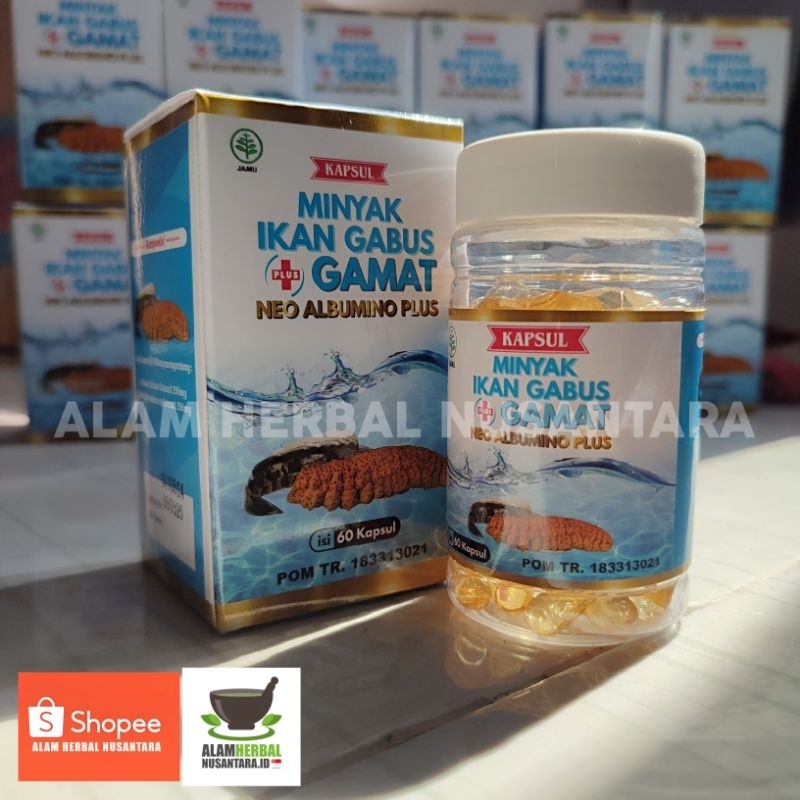 Jual NEO ALBUMINO MINYAK IKAN GABUS PLUS GAMAT MINYAK IKAN KUTUK | Shopee Indonesia