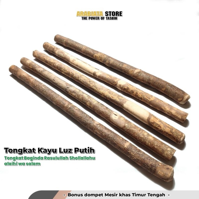 Jual Tongkat Kayu Luz Putih Lus Putih Asli (Jenis Kayu Tongkat ...