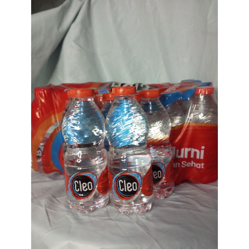 Jual Cleo Mini 220ml isi 24 Pcs / Air Mineral Botol Kecil 1 Dus | Shopee Indonesia