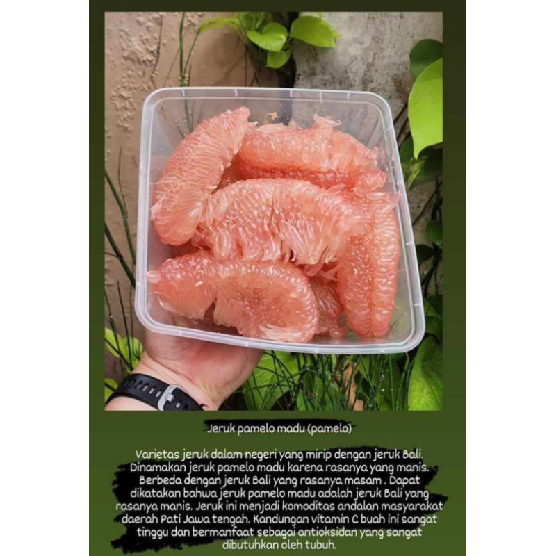 Jual Jeruk Pomelo Madu Kupas | Shopee Indonesia