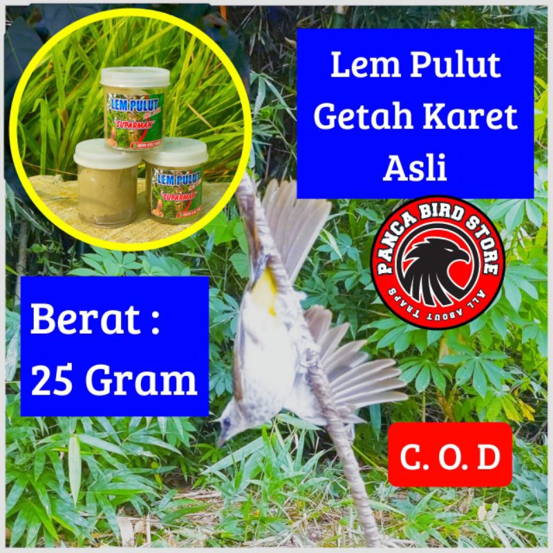 Jual LEM PULUT burung getah karet asli Lem pulut getah benda Alat pikat ...