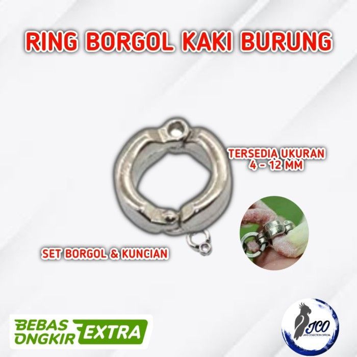 Jual RING BORGOL 8MM RING BORGOL BURUNG SUNCONURE NURI RING KAKI BURUNG ...