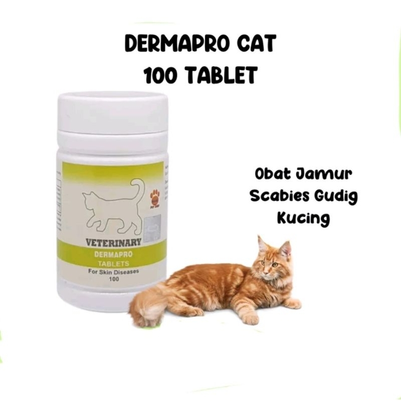 Jual Dermapro cat 100 tablet obat jamur scabies gudig kulit kucing Raid ...
