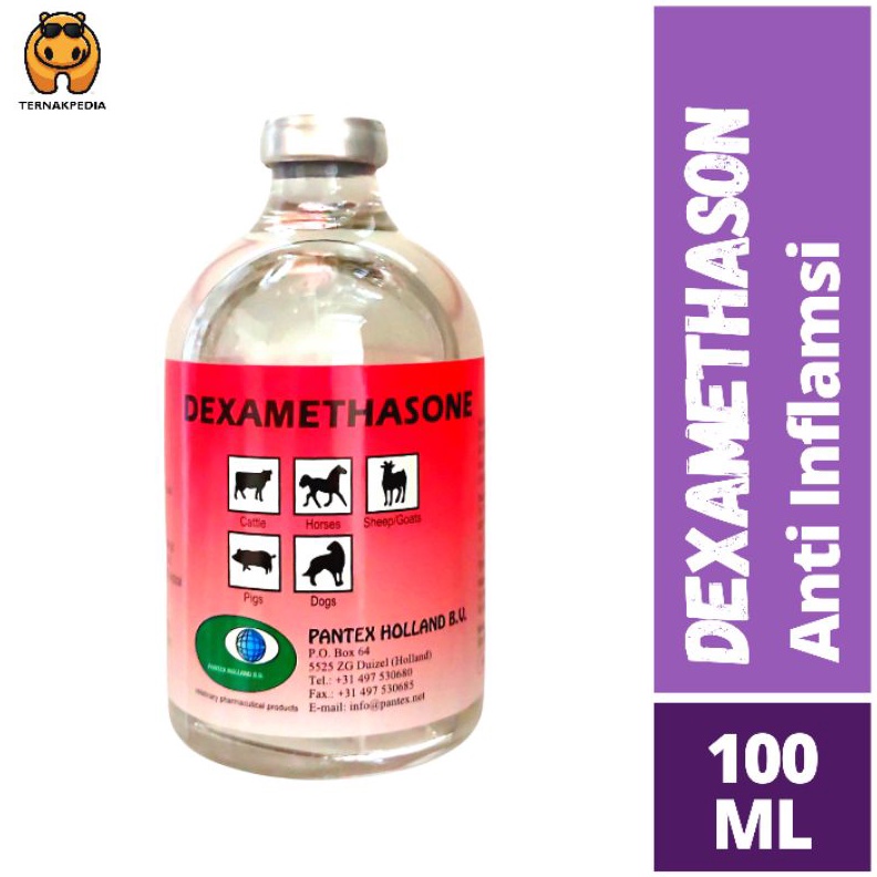 Jual KODE K24H Dexamethason 1ml Anti Inflamasi Pantex Holland Obat ...