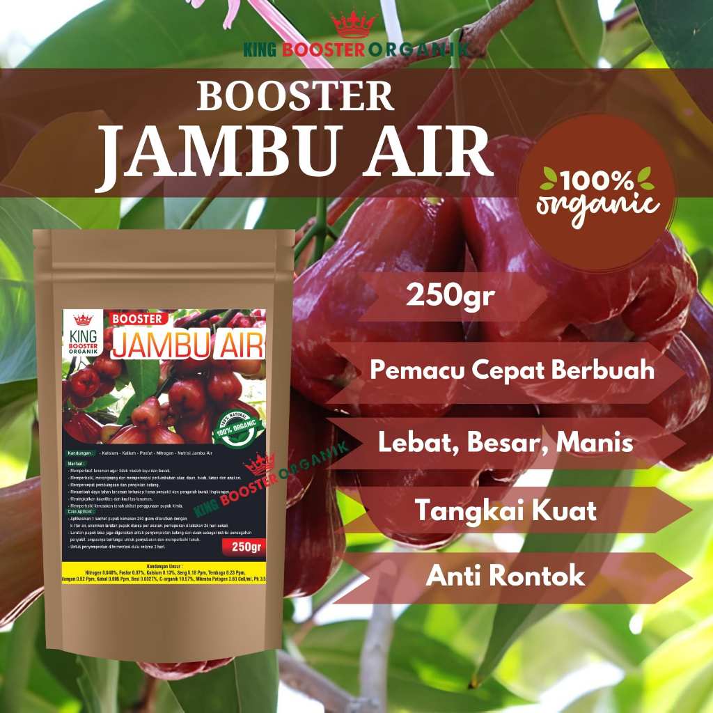 Jual Pupuk Booster Jambu Super Organik Pelebat Buah Dan Anti Rontok 250gr Pupuk Organik Pelebat ...