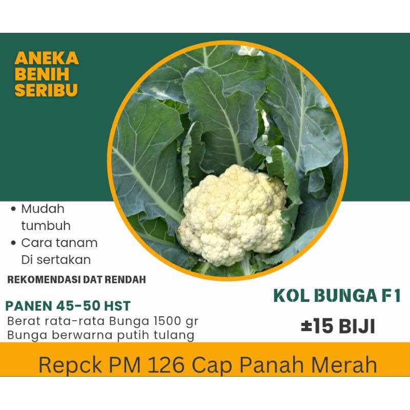 Jual Biji-Benih Kol Bunga F1 sayuran segar unggul Kol Putih | Shopee ...