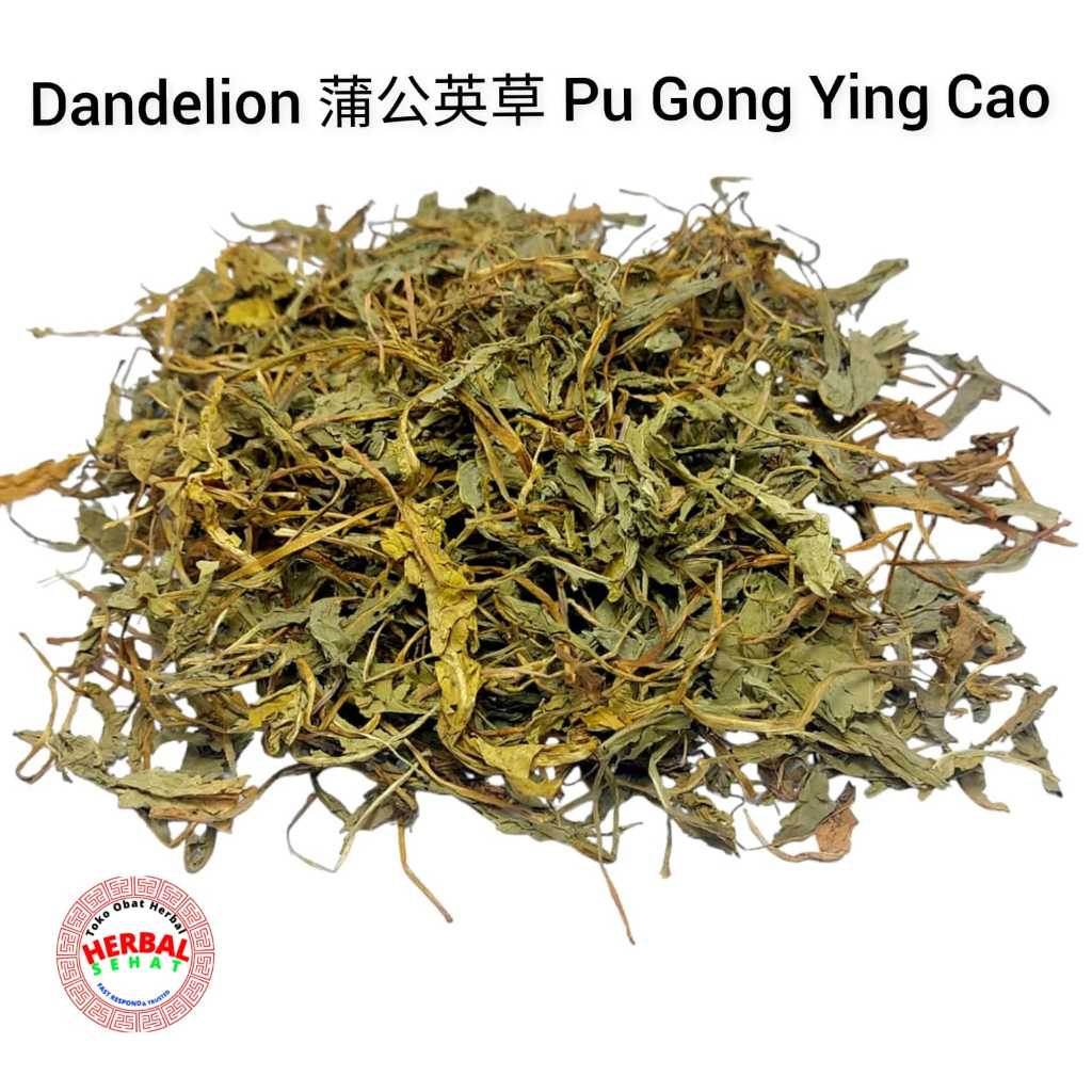 Jual Pu Gong Ying Cao 1 kg - 蒲公英草 Dandelion Kering / Teh Dandelion ...