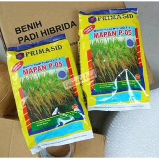 Jual CUCI GUDANG!! benih padi mapan P 05 asli 100% | Shopee Indonesia