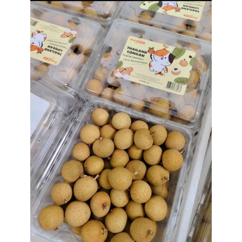 Jual Lengkeng Kelengkeng Emas Thailand Freshco 1 kardus 6 kg | Shopee ...
