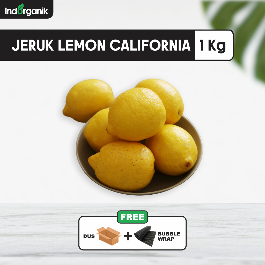 Jual INDORGANIK JERUK LEMON CALIFORNIA 1 KG - FRESH LEMON SPEC SUPER ...