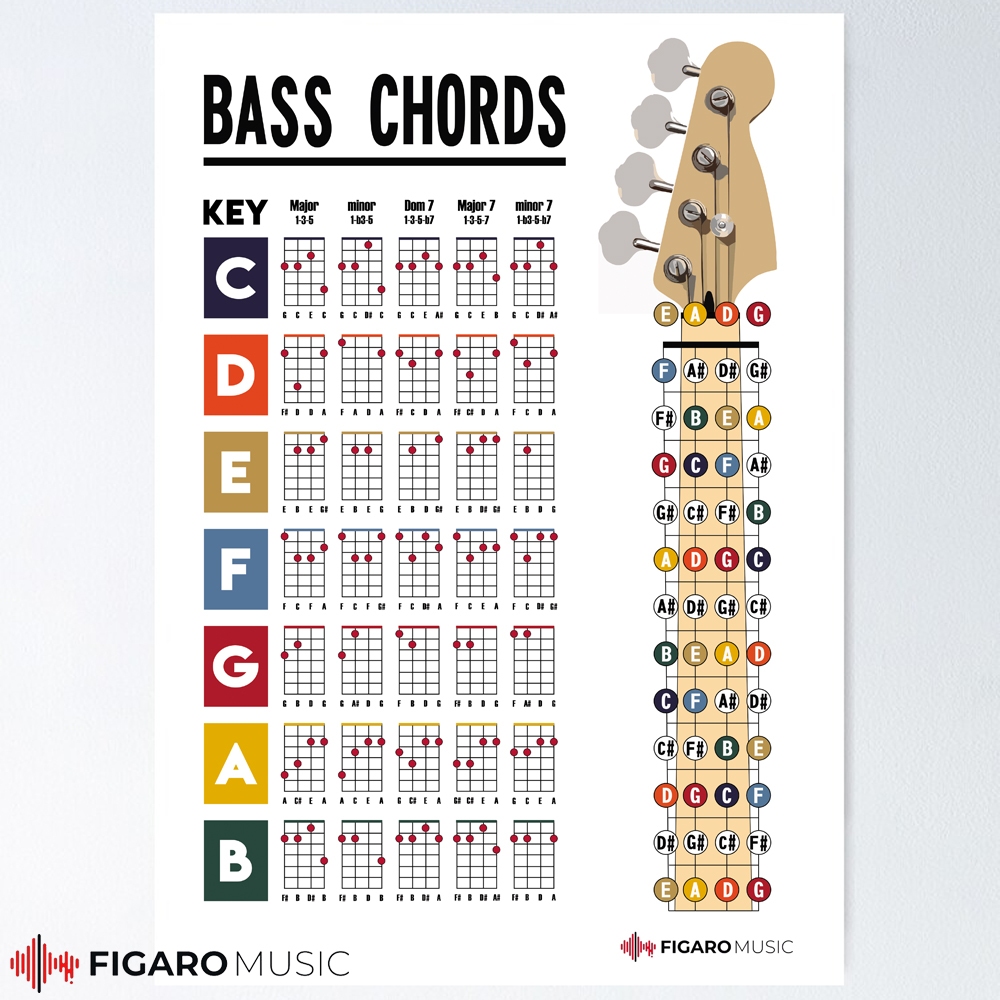 Jual Bass Chord Poster Chart Educational Reference Guide for Beginners ...