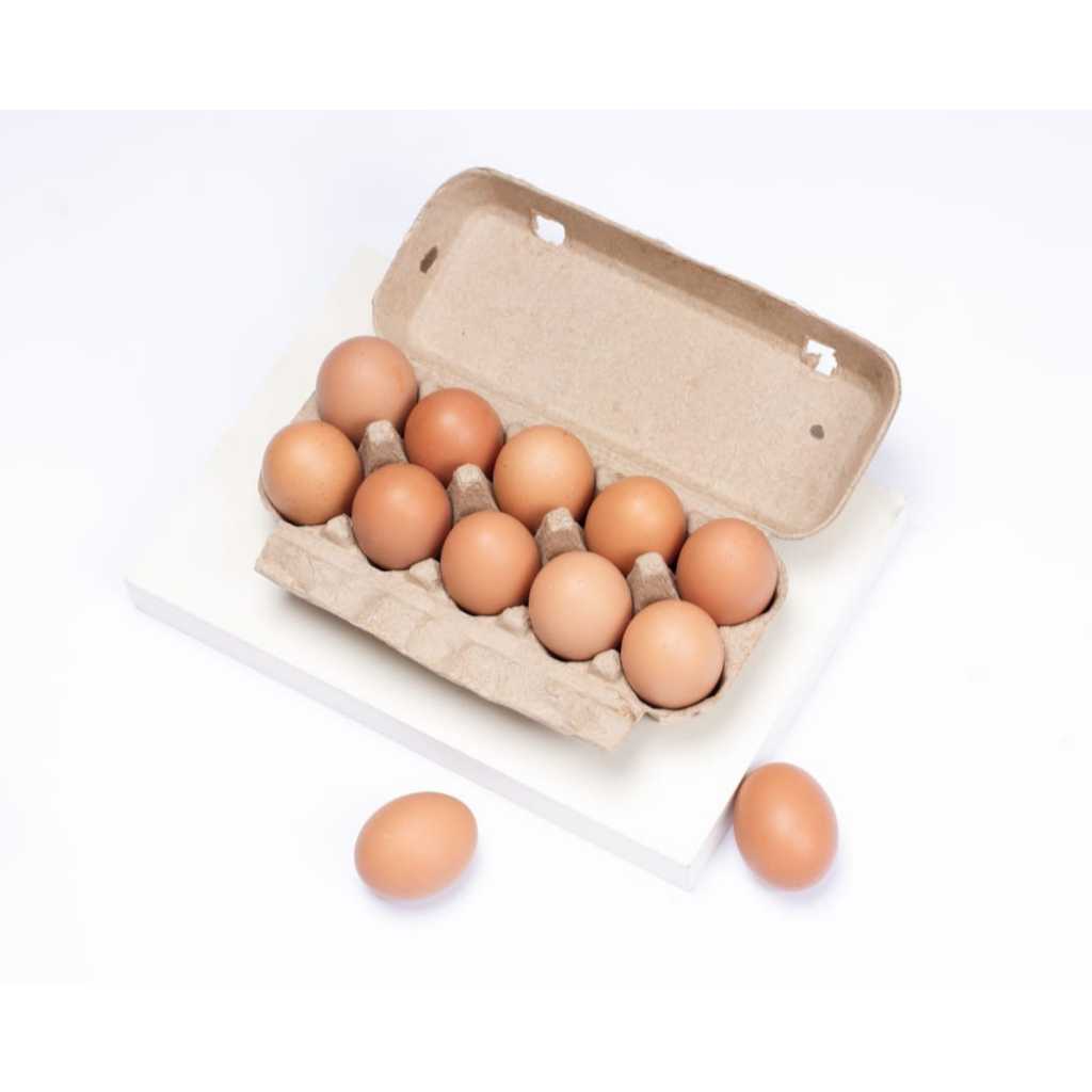 Jual Paper egg box / tray egg / kotak telur bahan kertas 10 Butir ...