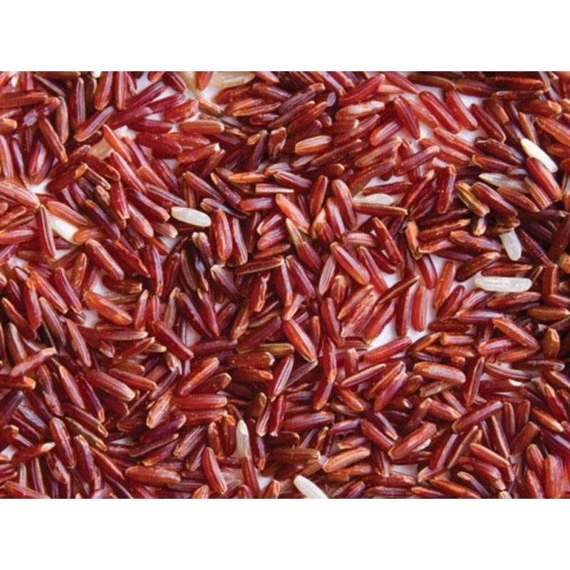 Jual beras merah PK peka 1kg buat pakan ayam bangkok | Shopee Indonesia