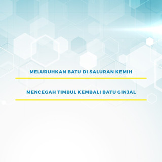 Jual Renax 50 Kapsul - Mencegah dan Mengatasi Batu Ginjal - Obat Batu ...