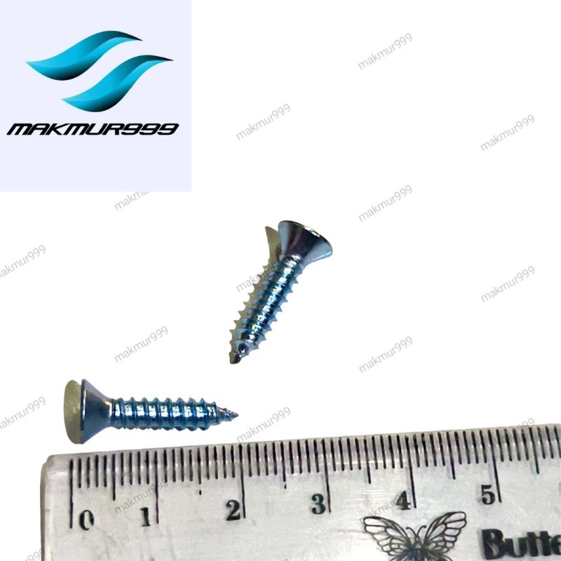 Jual skrup taping screw fh 8x3/4 inch per 100 pcs | Shopee Indonesia