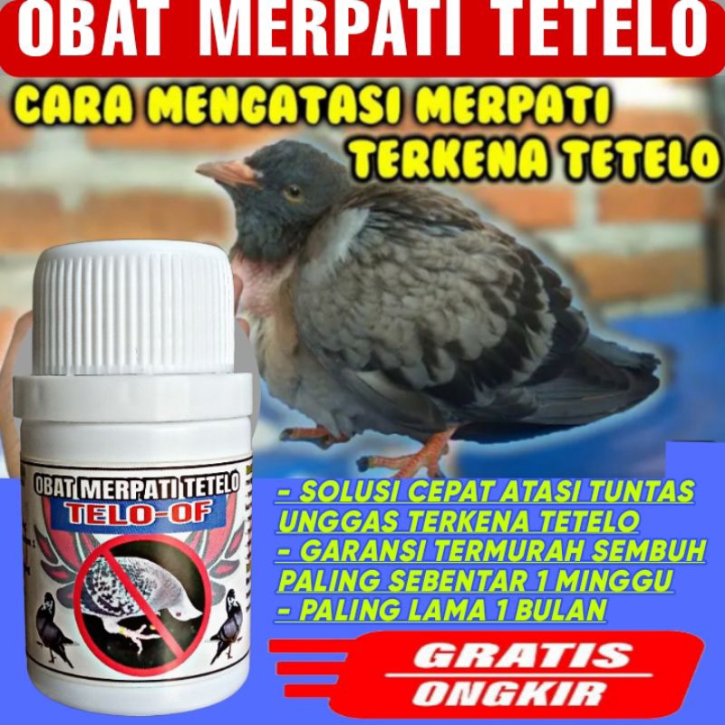 Jual TETELO PLUS isi 100 butir obat merpati telo paling ampuh vitamin ...