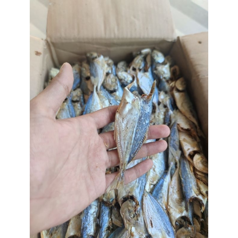 Jual IKAN ASIN SELAR REBUS 1000GR | Shopee Indonesia