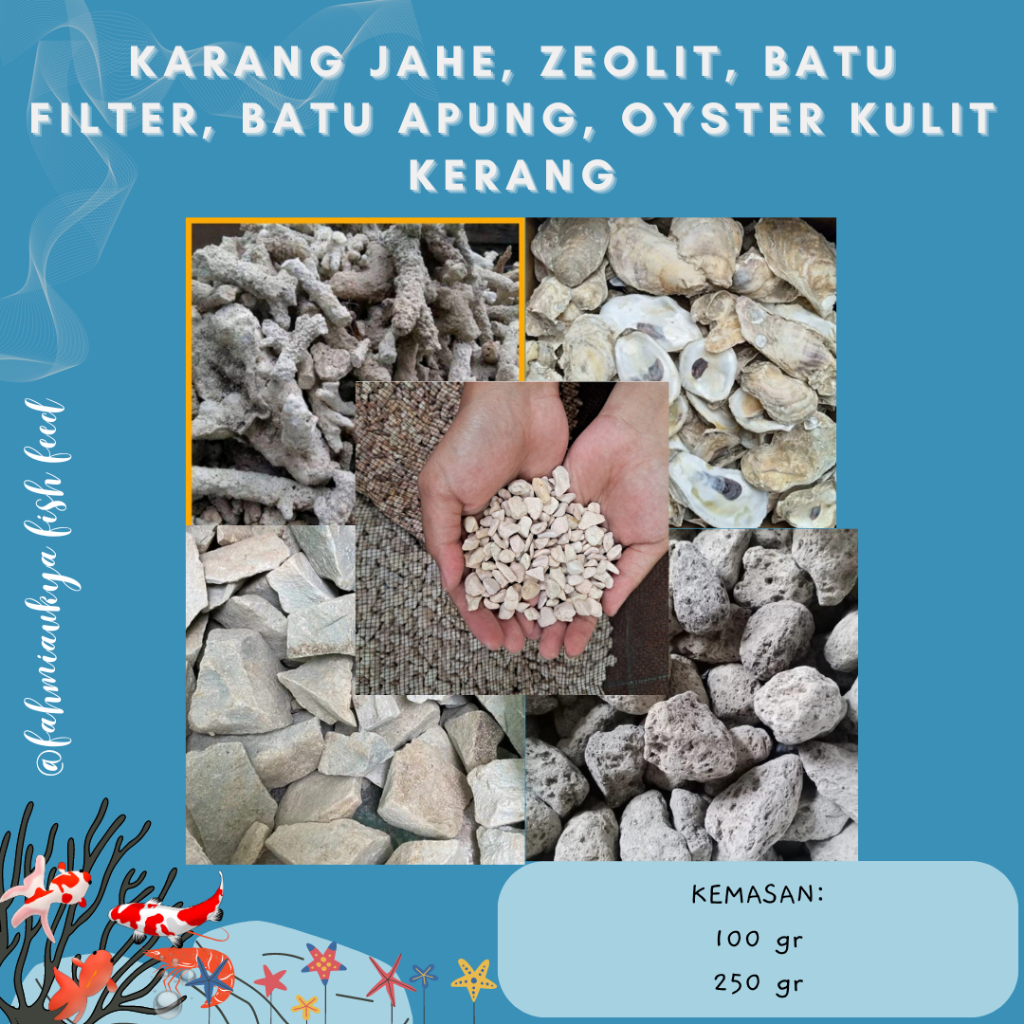 Jual KARANG JAHE, ZEOLIT, BATU FILTER, BATU APUNG, OYSTER KULIT KERANG ...