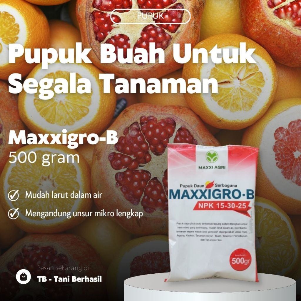 Jual Pupuk Buah Maxxigro B 500 gram, Agar Tanaman Tumbuh Maksimal ...