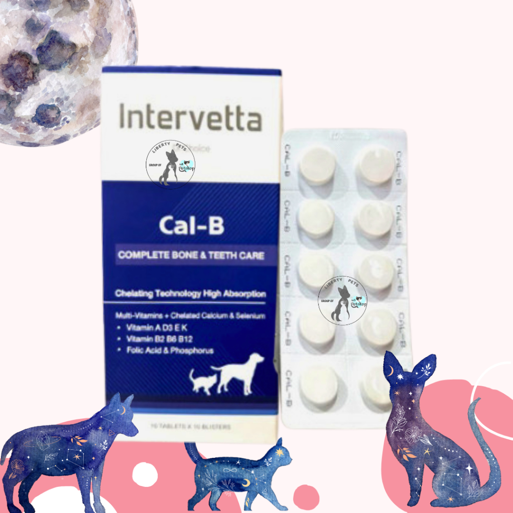 Jual Intervetta Cal B Cal-B Suplemen Tulang Kalsium Anjing Kucing Sakit ...