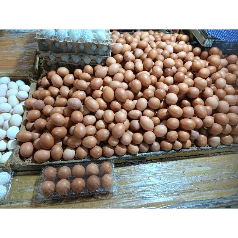 Jual Telur ayam 600-700gram /pack/ Jakarta barat | Shopee Indonesia