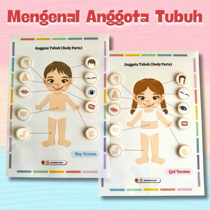 Jual Busy Page Anggota Tubuh (Body Part) Busy page organ tubuh ...