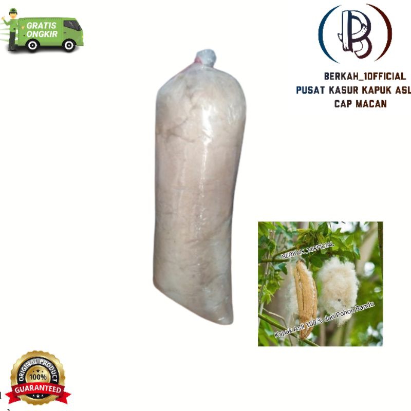 Jual Kapuk Randu ASLI Bersih Tanpa Biji Untuk isi Bantal Guling Kasur ...