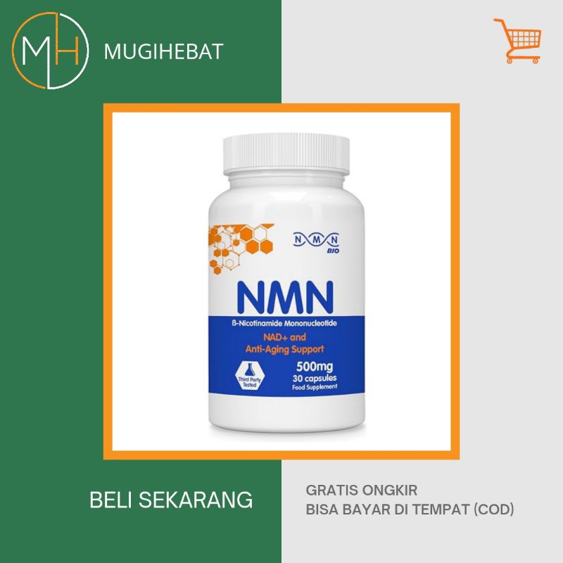 Jual NMN Bio B - Nicotinamide Mononucleotode - 500mg Anti-Aging & NAD+ 30 CAPS | Shopee Indonesia
