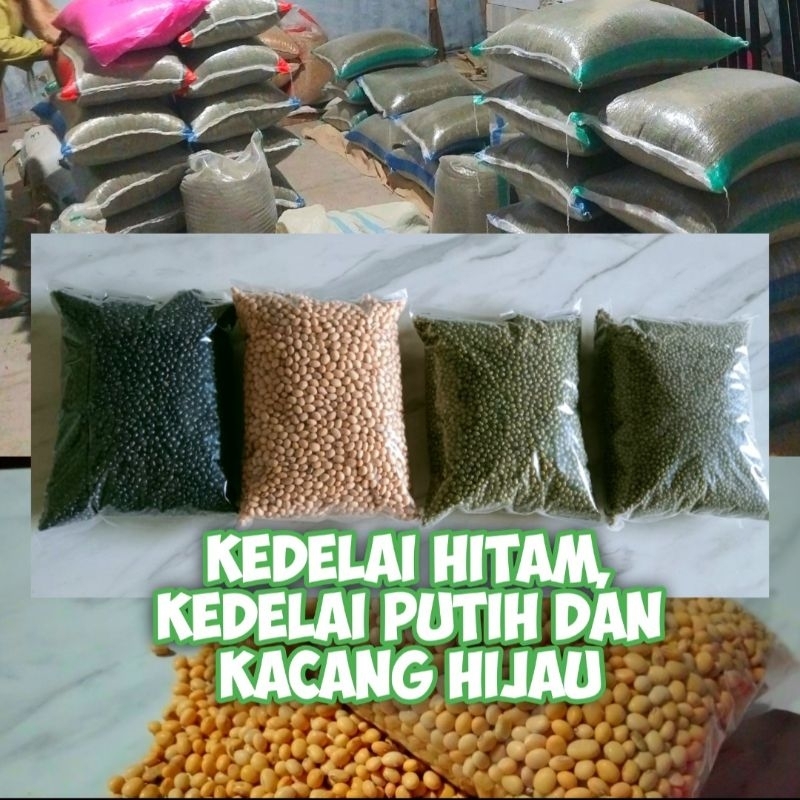 Jual 1KG Kedelai PUTIH/HITAM Dan Kacang Hijau (NON GMO) | BERKUALITAS ...