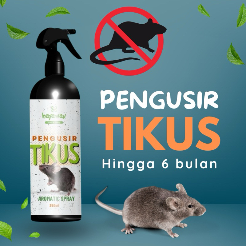 Jual Semprotan Pengusir Tikus Alami Obat Pengusir Anti Tikus Ampuh ...