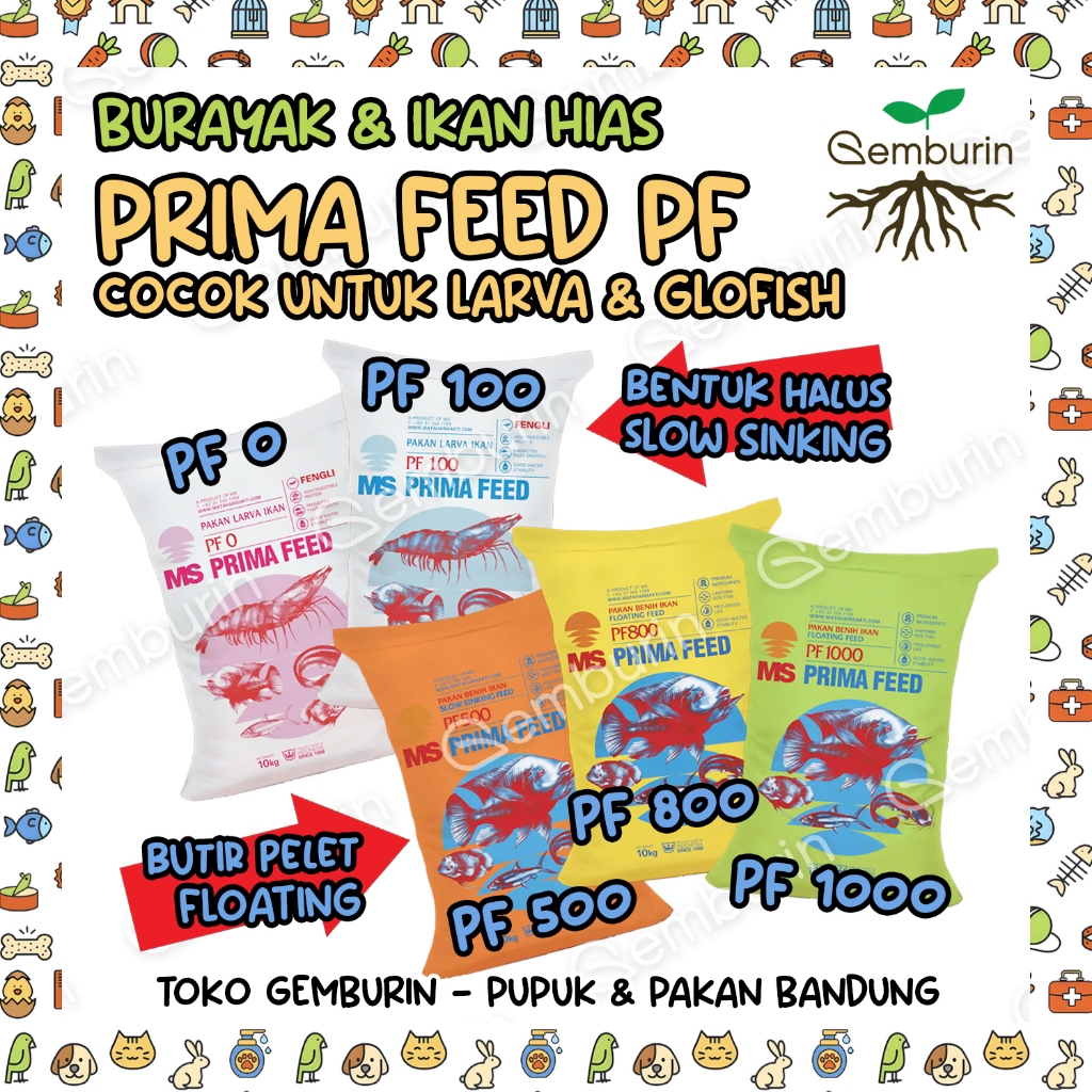 Jual Prima Feed PF Matahari Sakti MS REPACK 500GR PF0 / PF100 / PF500 ...