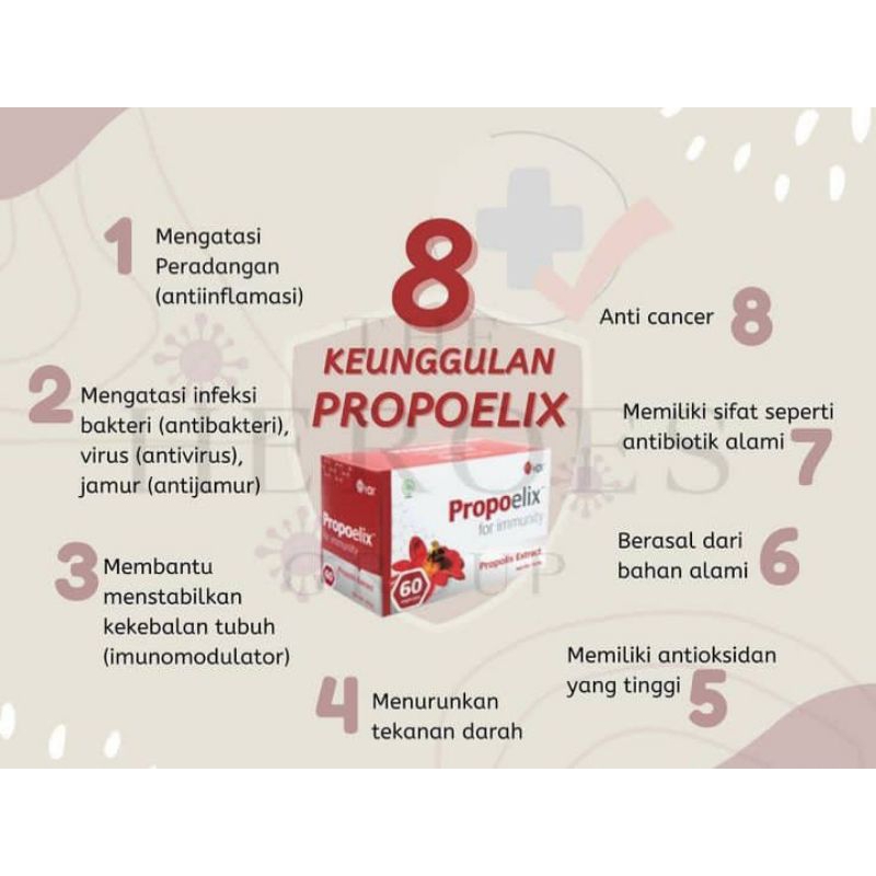 Jual propoelix for immunity 60 kapsul asli segel | Shopee Indonesia