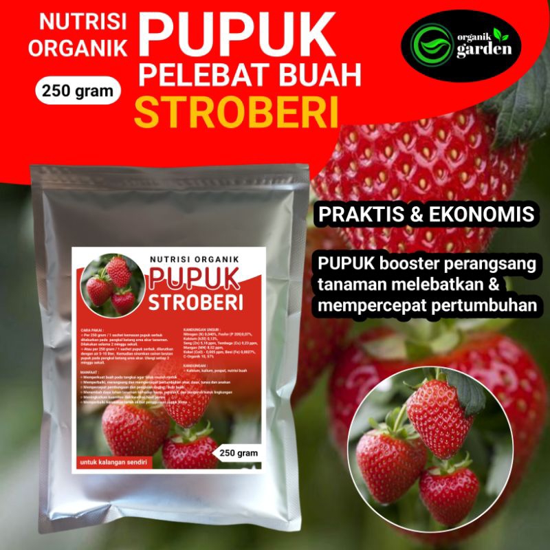 Jual pupuk pelebat buah STROBERI | booster melebatkan secara maksimal 250gram | Shopee Indonesia