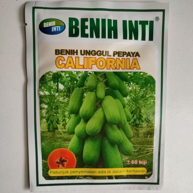 Jual Pepaya unggul california isi +- 60 biji benih inti | Shopee Indonesia